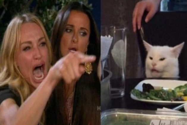 Descubre el origen del meme del gato | PalabrasClaras.mx